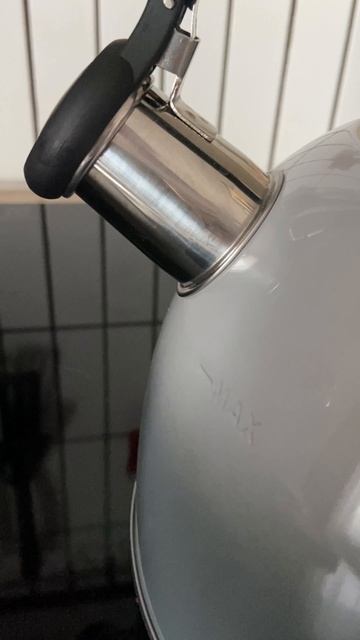 Чайник TalleR TR-11355 Обсидиан 2,8 л