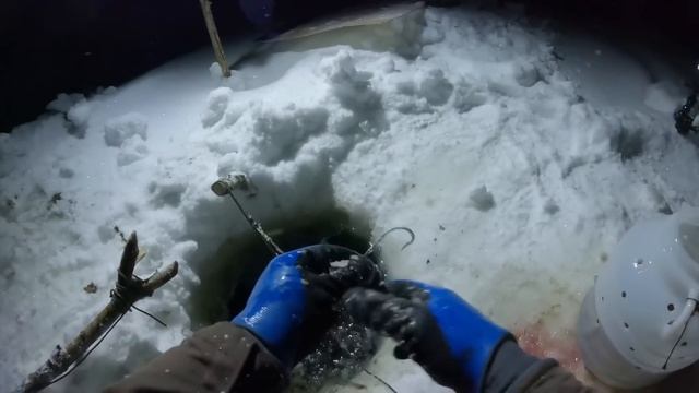 ПРОВЕРКА ПЕРЕМЕТА РАННИМ УТРОМ | 19.11.2025