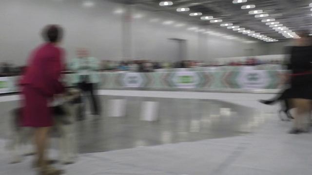 Сравнение на ЛС