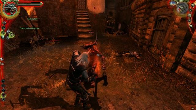 Ведьмак #29 Прохождение Её Высочество стрыга начало-Огонь небесный