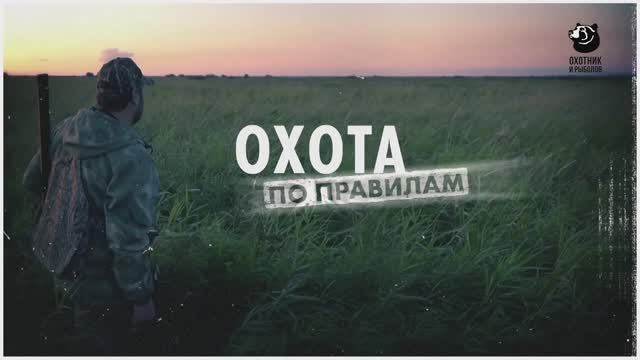 Охота на вяхиря в Псковской области. Охота по правилам (41)