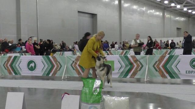 Моншер Вирсаль Югория