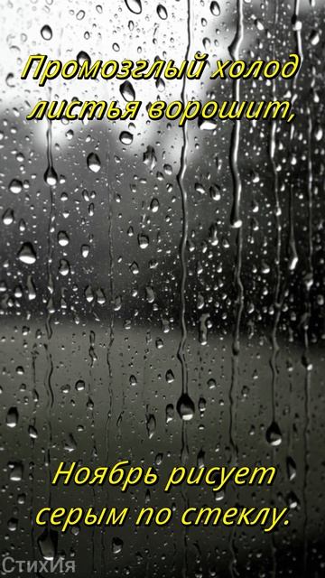 Промозглый холод