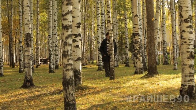 Райшев. Осознание мира