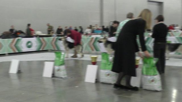 Сравнение на ЛЮ и ЛПП