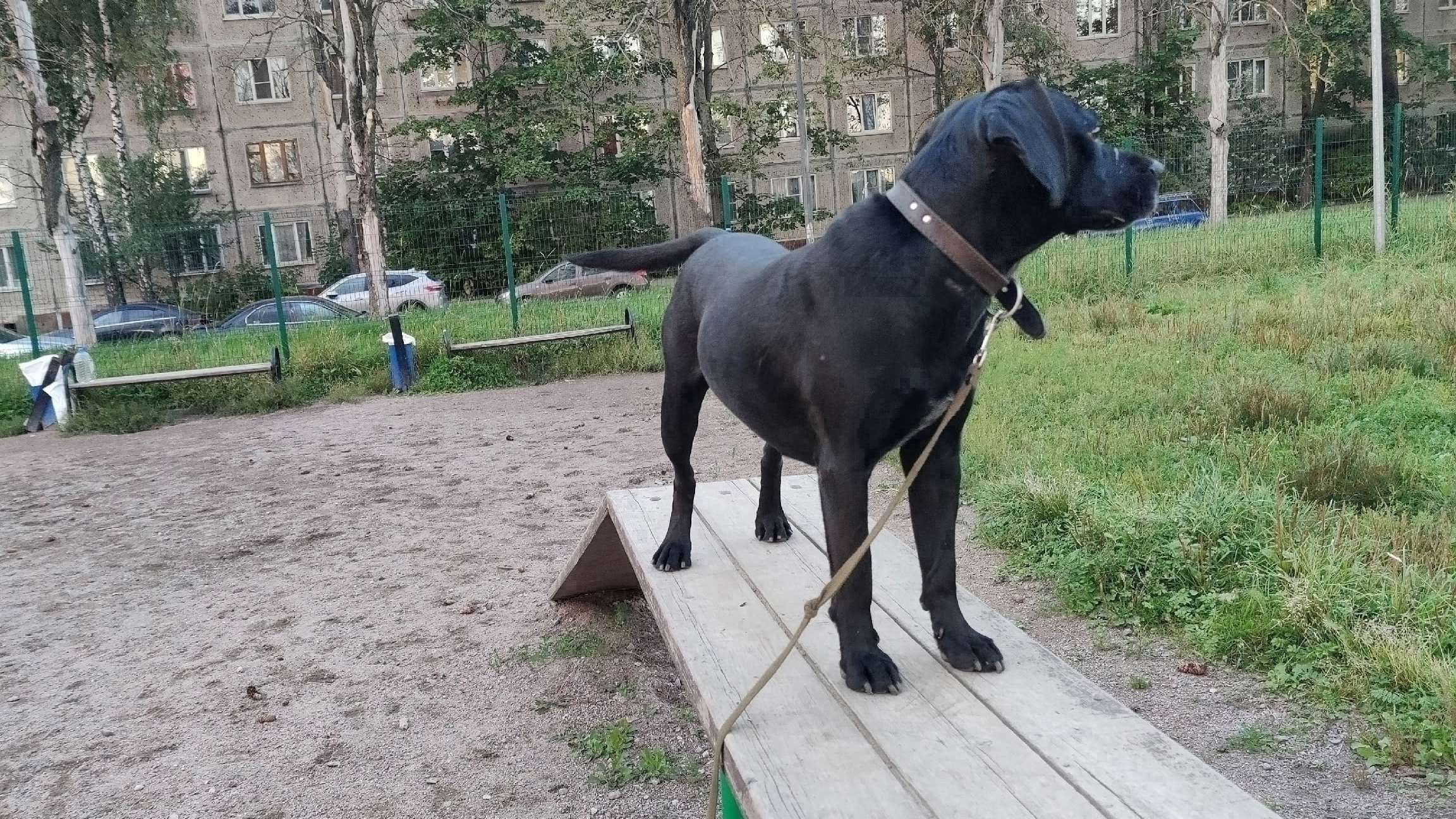 Моя Жизнь Кино @ На Буме @ Музей Псов