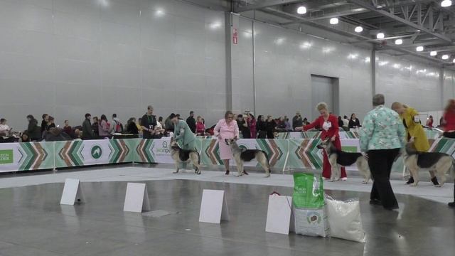 Класс чемпионов