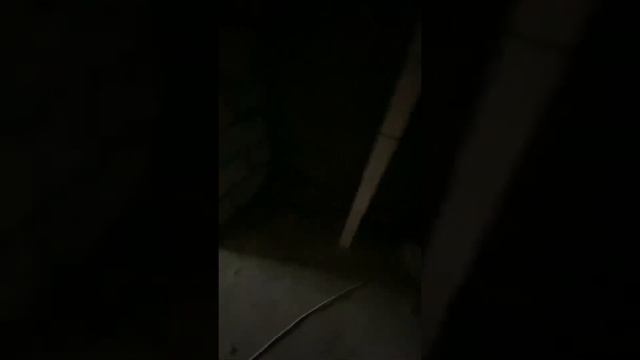 Стройка. Начало ремонта. Первый косяк.