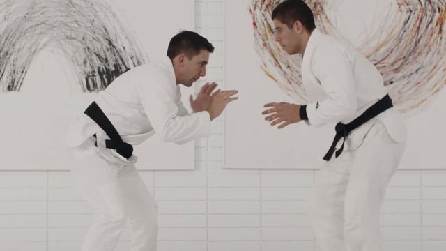 AOJ - Foundational Jiu Jitsu by Gui Mendes