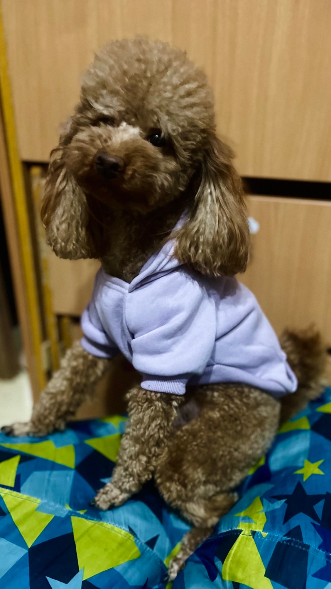 Кто хороший мальчик?