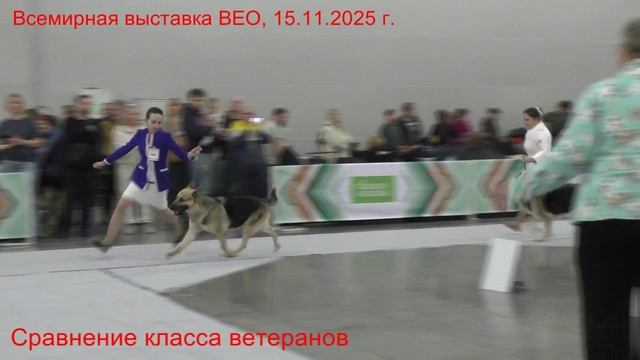 Сравнение класса ветеранов