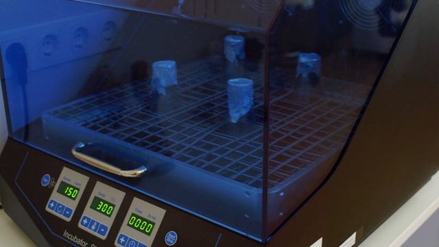 SFEDU GO: Центр биоинженерии почв ЮФУ