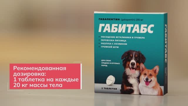 Габитабс: обзор успокоительных таблеток для собак средних и крупных пород, 10 шт | Распаковка