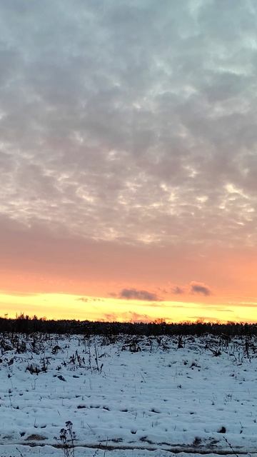 Townshadows - Winter Sunset