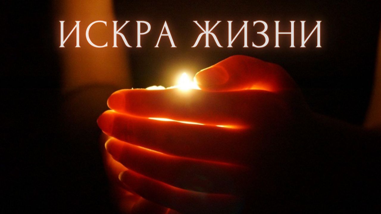 9.1.Аддикция и сгорание. Суть бесед 1-9. Маниак., депрес. Избыт. погружение. Стимуляция, мозг. Эрос
