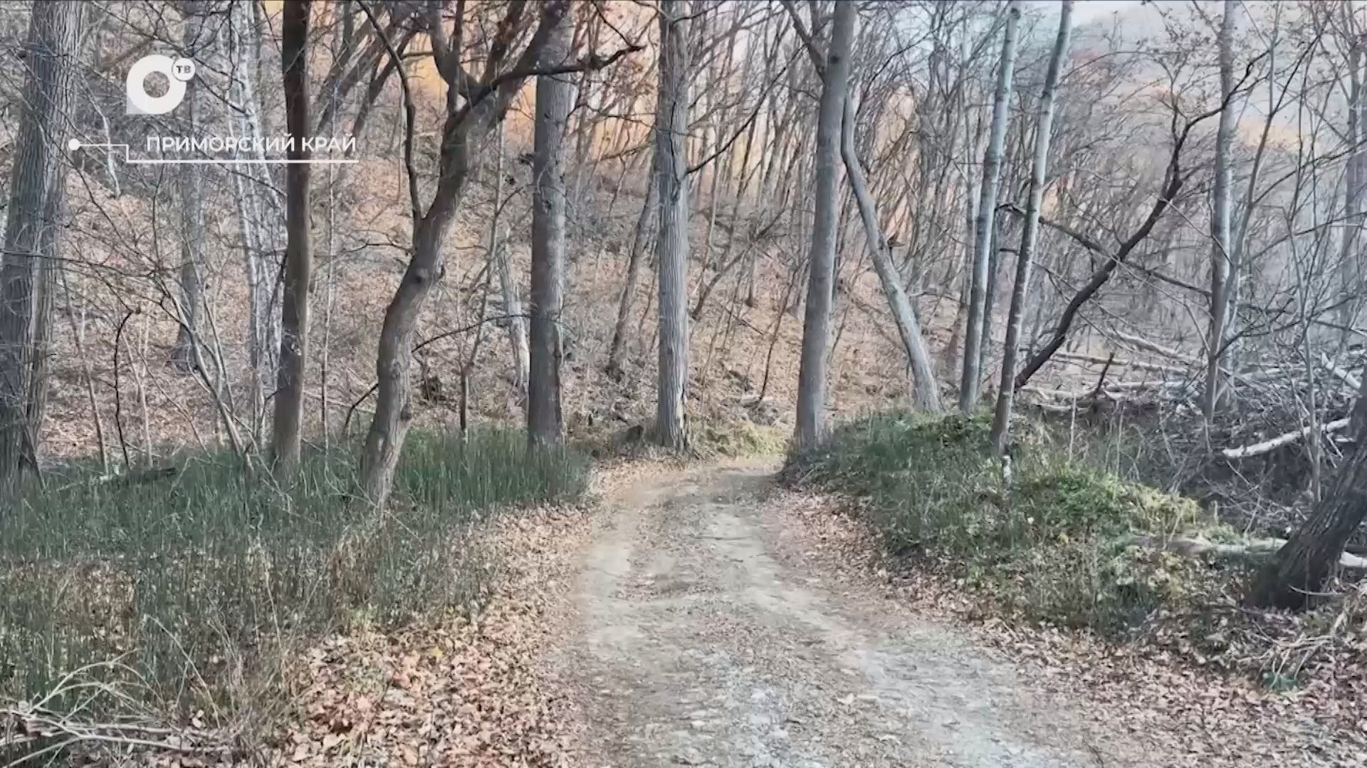 Разведка блогом / Макаровские водопады / 18.11.25