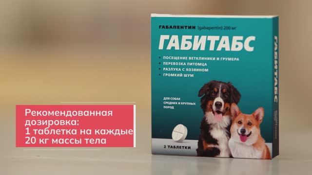 Габитабс: обзор успокоительных таблеток для собак средних и крупных пород, 2 шт | Распаковка