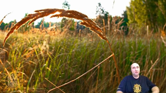 Эзотерические вопросы.