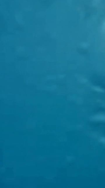 #shorts Прыжок со скалы в воду