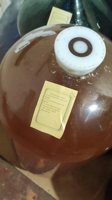 Граппа и вино 2025 года в процессе