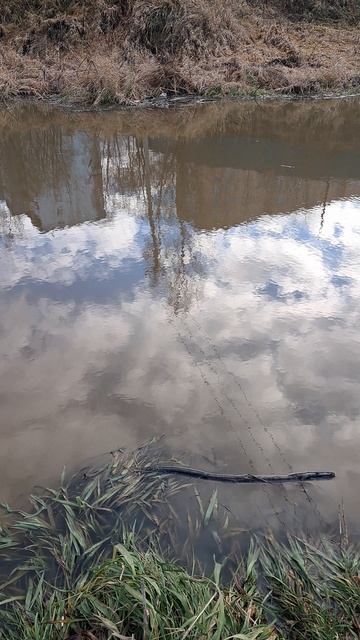 Обстановка на водоёме 19.11.2025