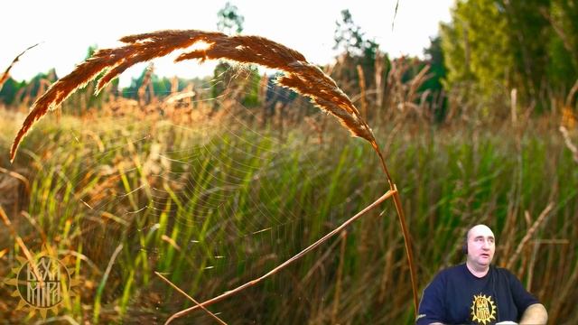 Как карма препятствует вскрытию прежних наработок.