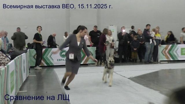 Сравнение на ЛЩ