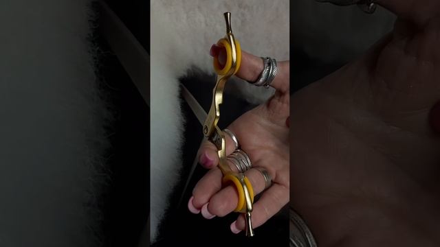 6 этапов техники работы ножницами