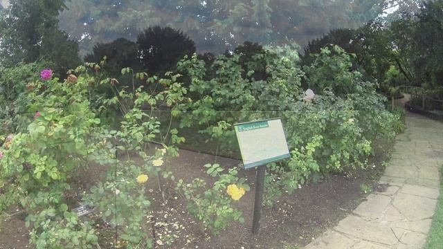 Regent's Park,  London