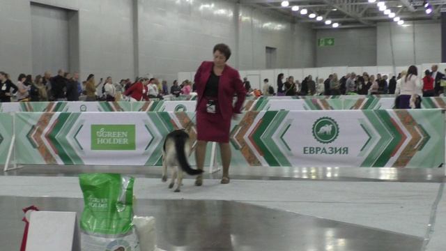 Посадский Страж Инара