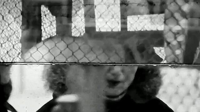 1986 год. Красноселькупский район. Песцовая ферма