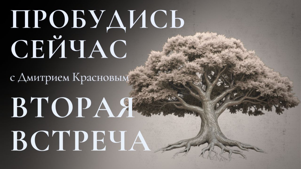 ПРОБУДИСЬ СЕЙЧАС.  Вторая встреча