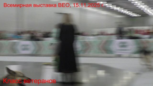 Класс ветеранов