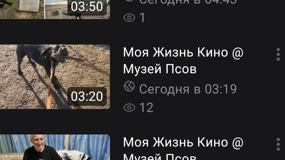 Моя Жизнь Кино @ Музей Псов