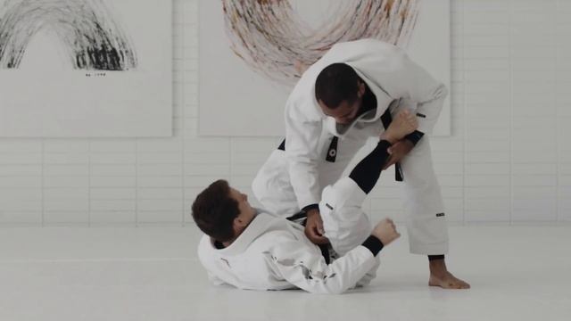 AOJ+ Framing the Guard - Curriculum from Rafael Mendes2