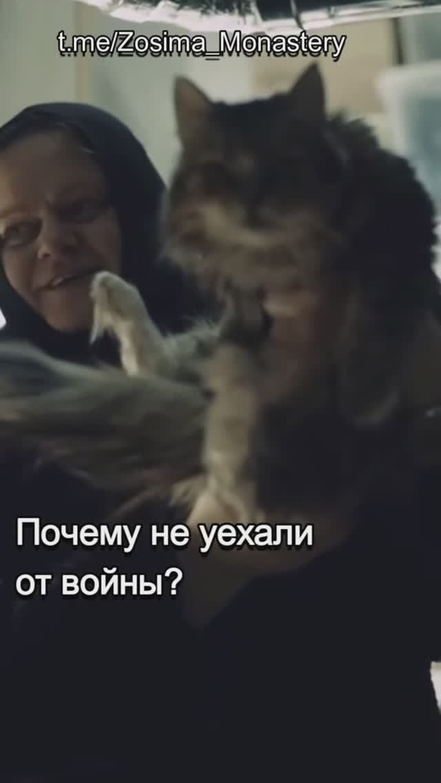 Почему не уехали от войны