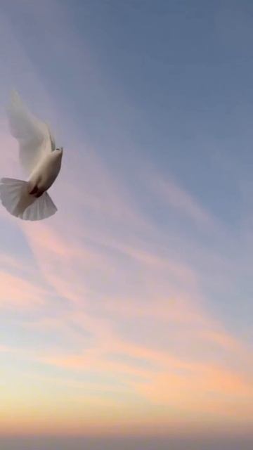 Россия моя! 🇷🇺
#нейрокреатив #россия #нейросеть #видеоконтент #anidor_ai #москва #искусственныйинтел