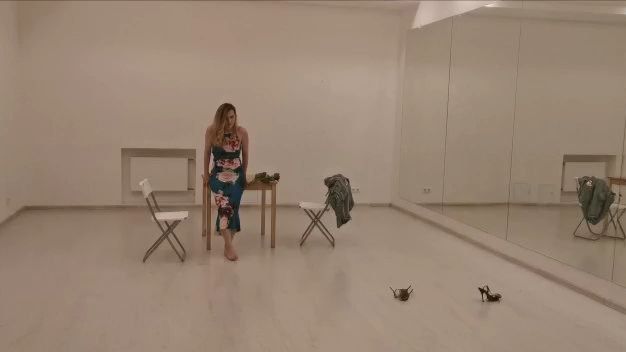 Этюд ССОРА на ПФД без слов