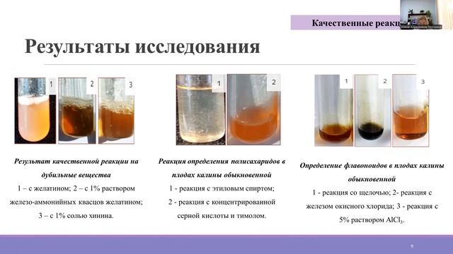 Определение химического состава и товароведческих показателей плодов сухих калины обыкновенной