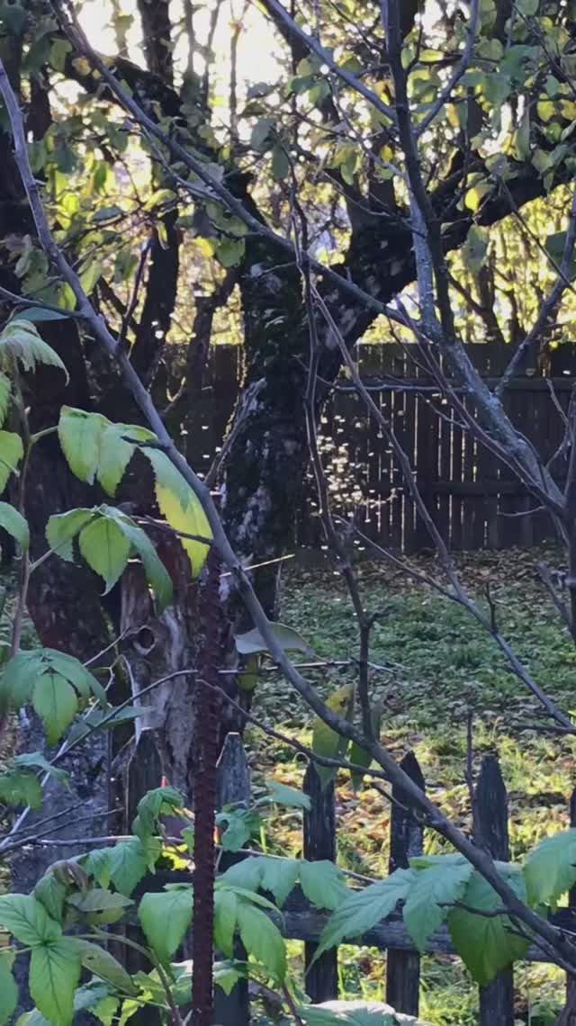 Между зимой и летом…