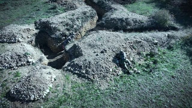 Быть непохожими и оставаться едиными