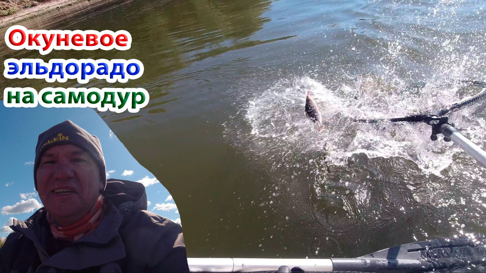 Окуневое эльдорадо. Рыбалка в окуневом котле на самодур.  #Астрахань #Окунь #Самодур