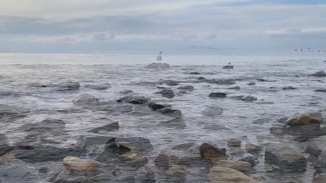 13.11.2025 Пляж 40 Лет Победы