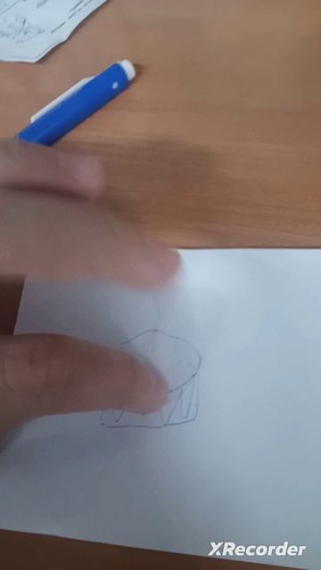 смешные котята 14