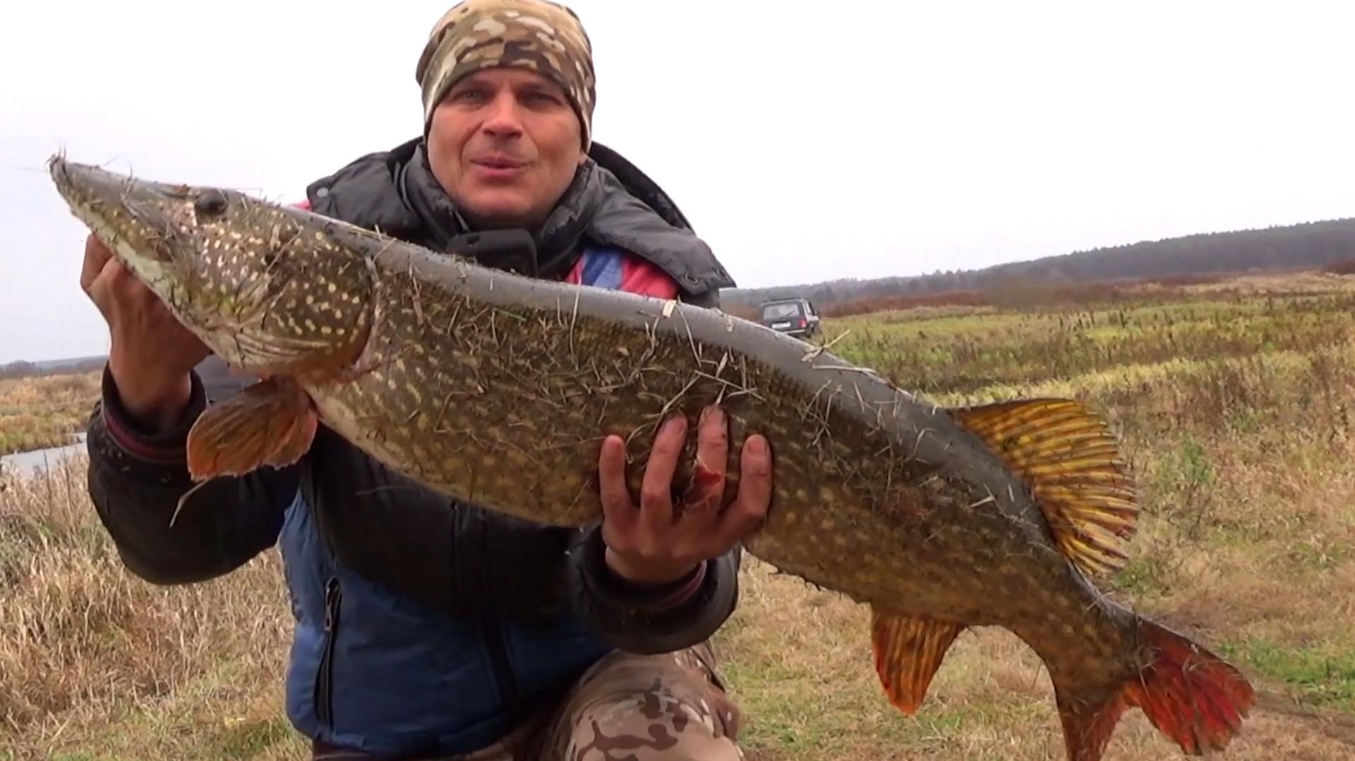 Монстр Маленькой Реки. Трофейная Рыбалка с Берега на Джерки в Ноябре!