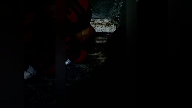 УЛЫБАЮЩИЙСЯ КОМНАТА. ДОГНАЛИ ТАИНСТВЕННУЮ ТЕНЬ. ЧЕБУРАШКА И ТИГР В МИРЕ УЛЫБАЮЩИЙСЯ КОМНАТЫ