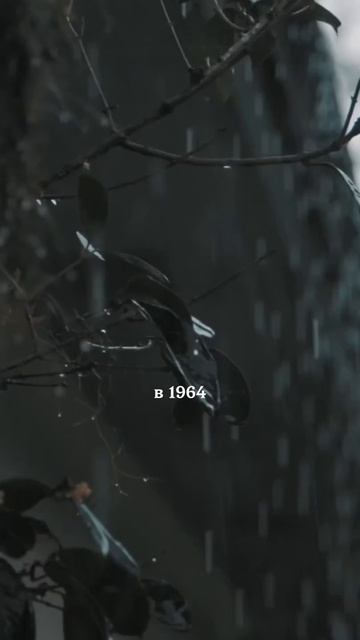 Её тихая стойкость стала громким свидетельством | Якименкова Нина Петровна