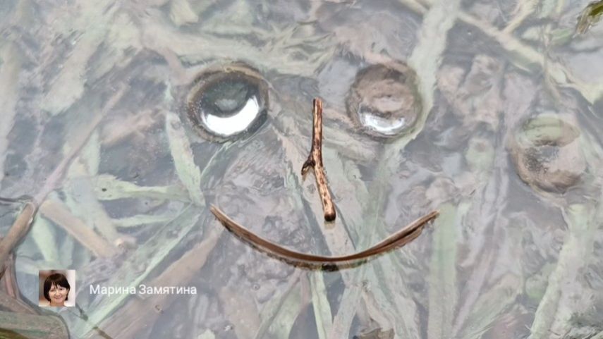 Экотерапия 59 серия.