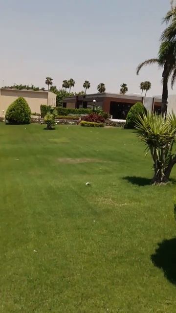 Летел в Москву а прилетел в Египет