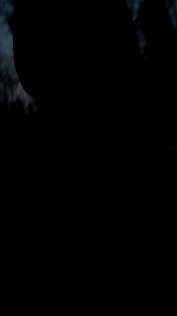 В темноте на роликах